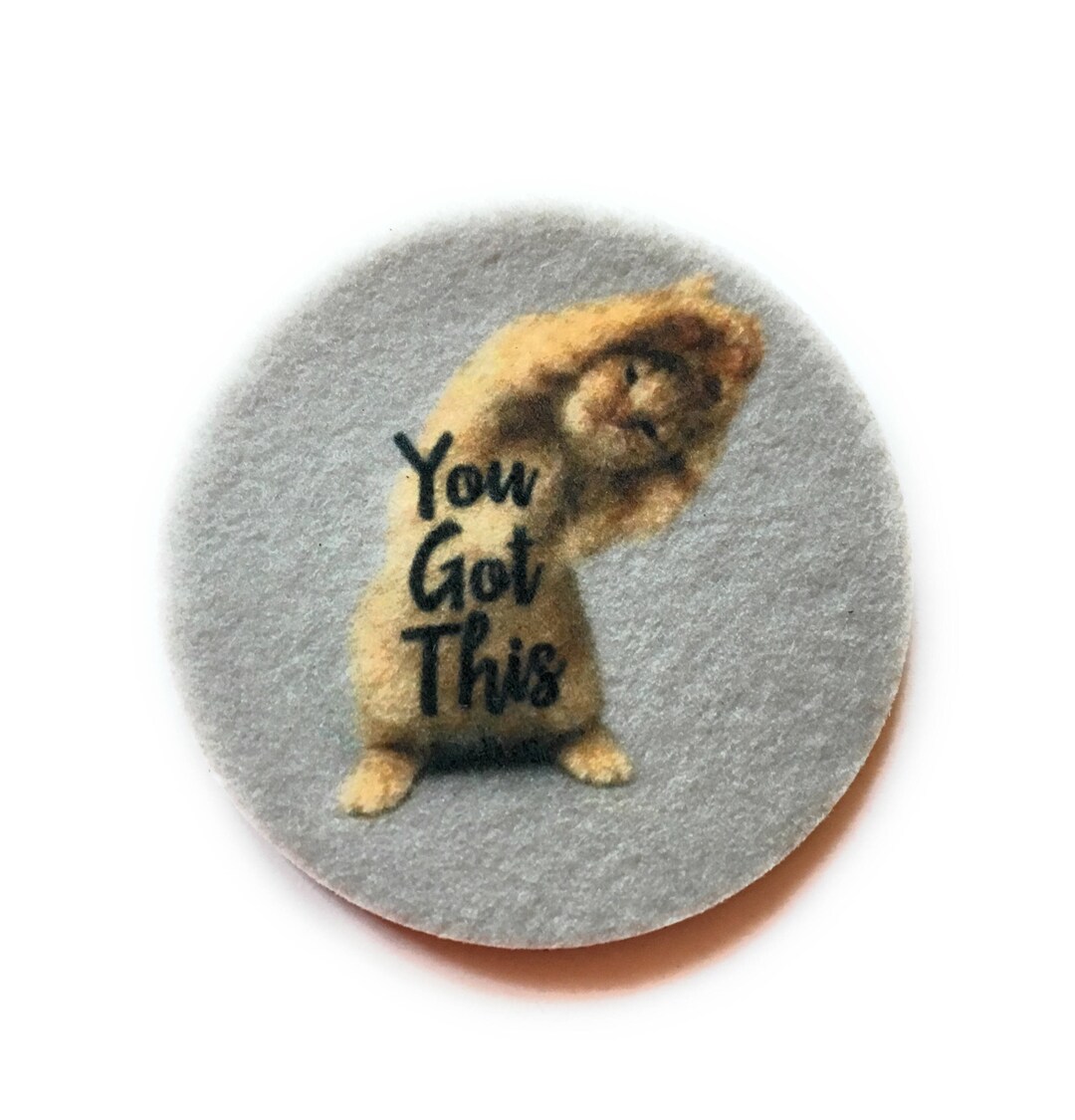 You Got This, Funny, Cat Car Coasters for Your Car's Cup Holder - Can ...