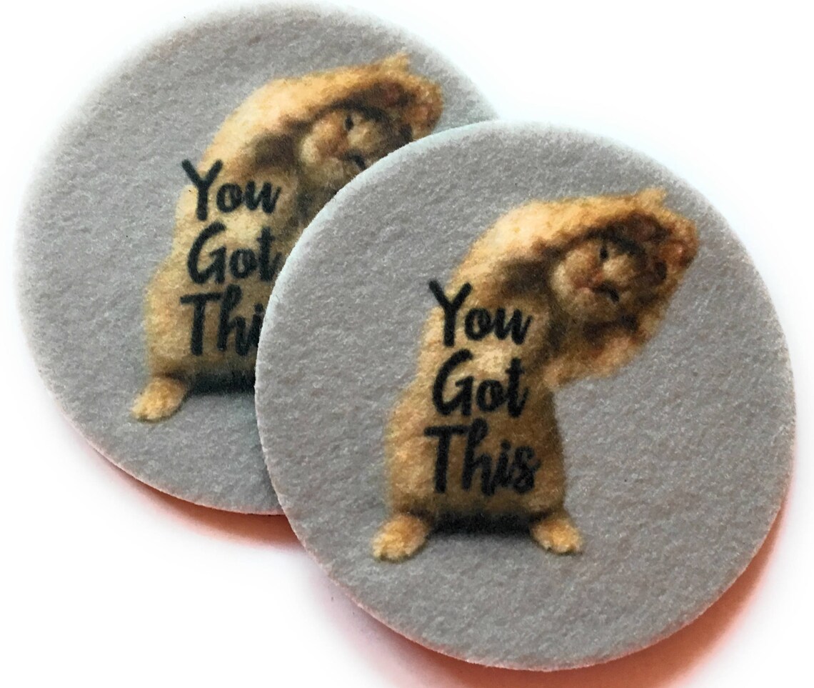 You Got This, Funny, Cat Car Coasters for Your Car's Cup Holder - Can ...