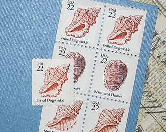 Seashell Stamps - Etsy