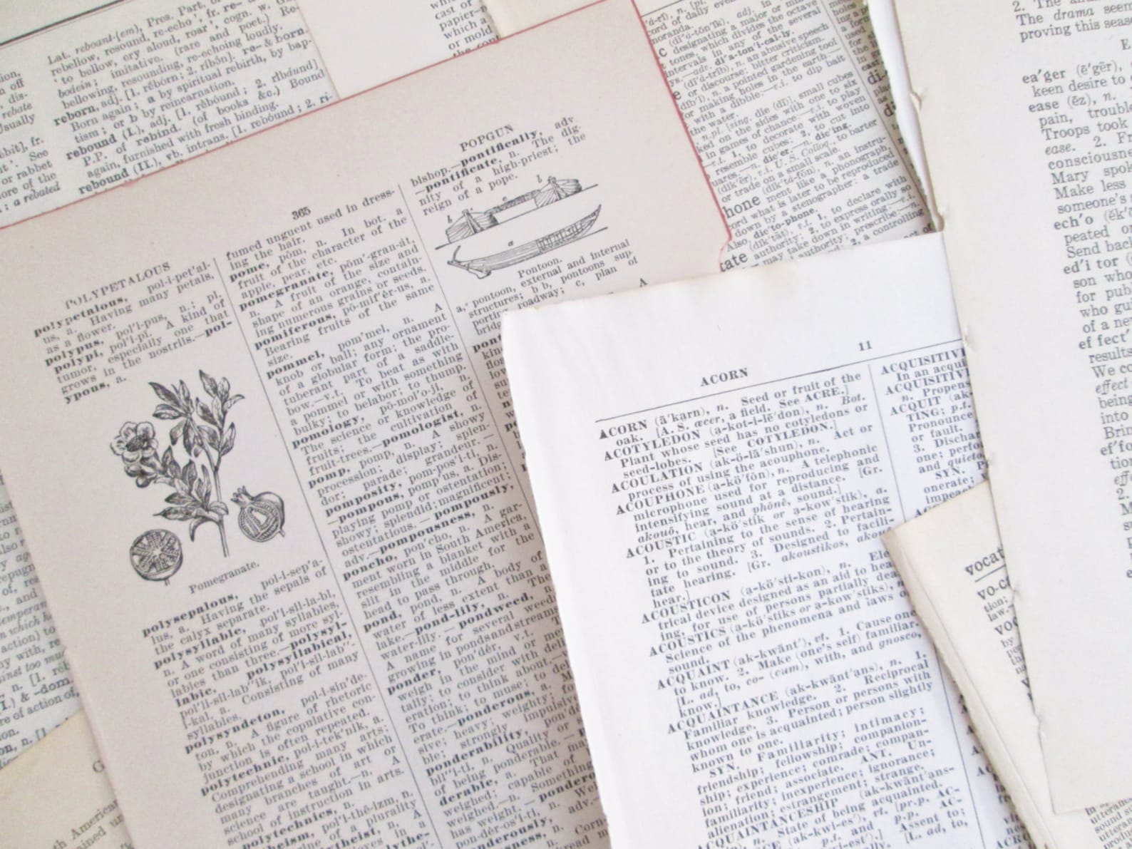 Vintage Dictionary Pages Mixed Lot Dictionary Paper Illustrated Vintage ...