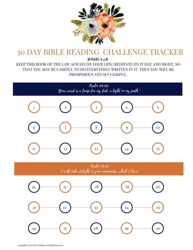 30 Day Bible Challenge Tracker - Etsy