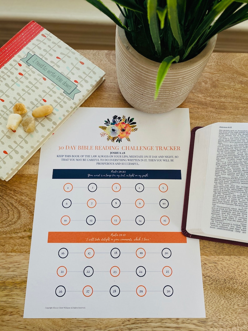 30 Day Bible Challenge Tracker - Etsy