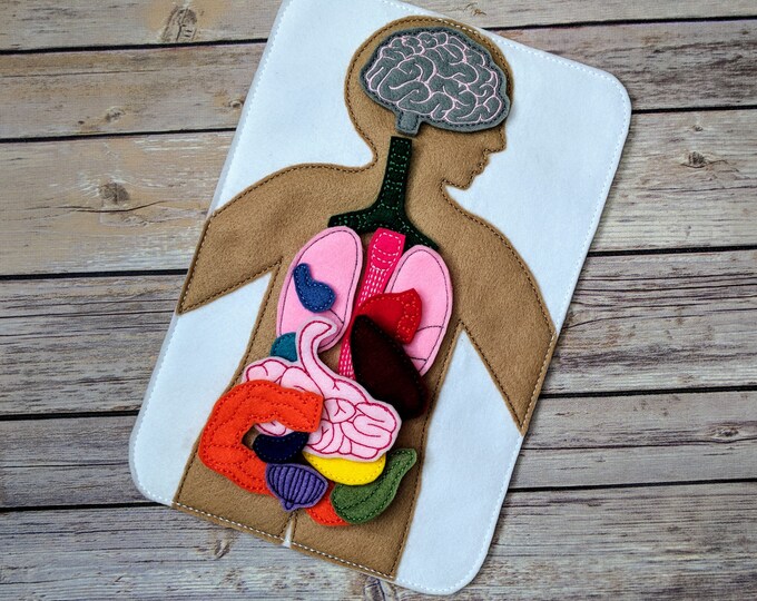 Large Anatomy Play Set, 17 Pieces, Embroidered Acrylic Felt ...