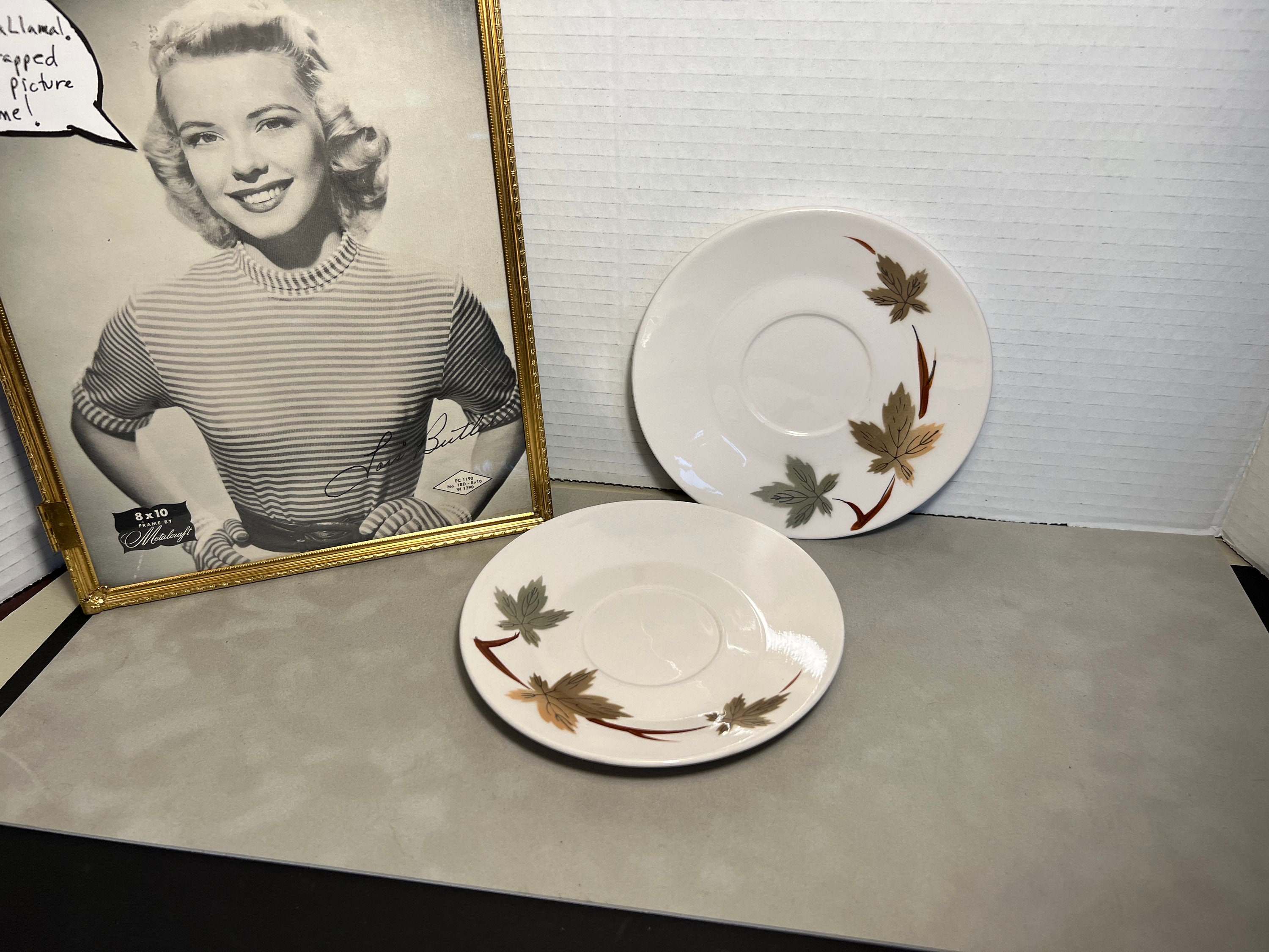 Vintage Primastone Ironstone Autumn Leaves 6 Plate Retro MCM Dishware ...