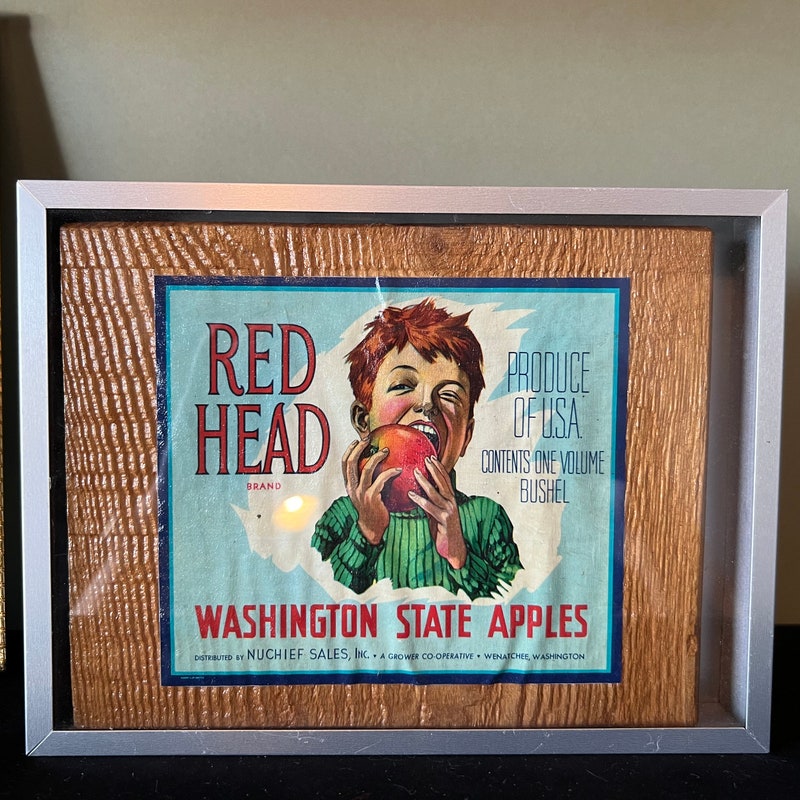 Washington Apple - Etsy