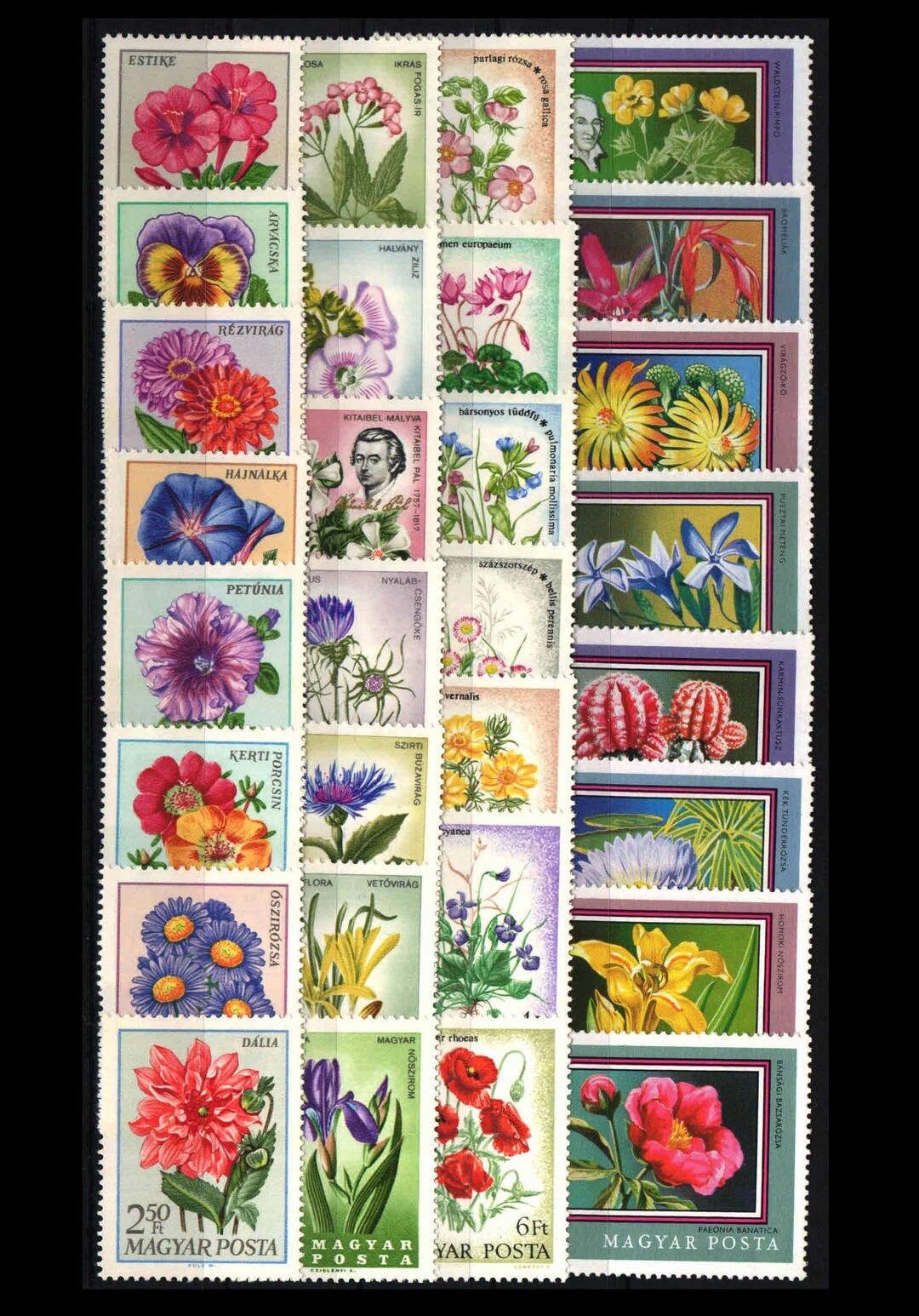 Huge Collection of Flower Postage Stamps / Vintage Hungary ...