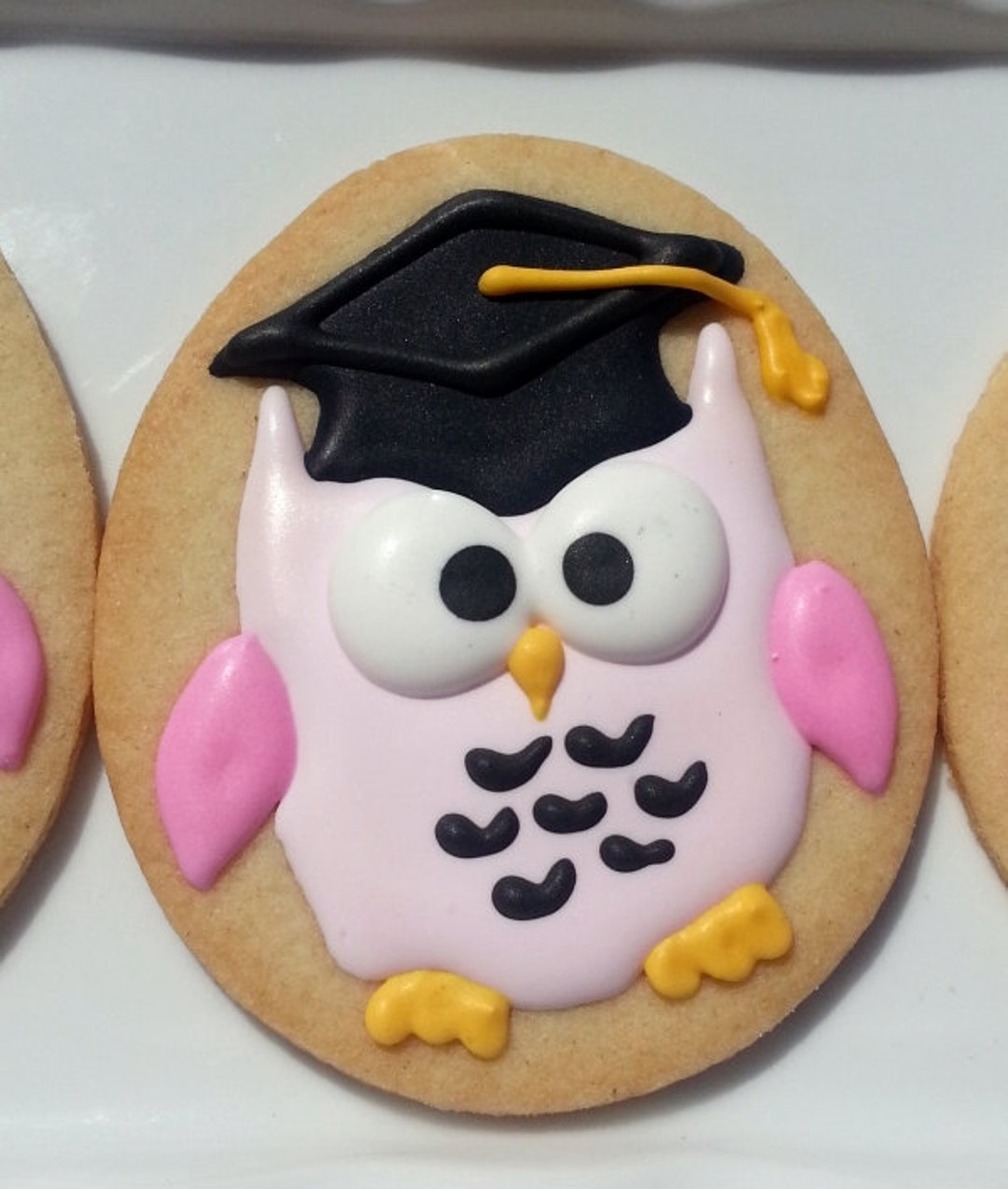 Graduation Owl One Dozen - Etsy