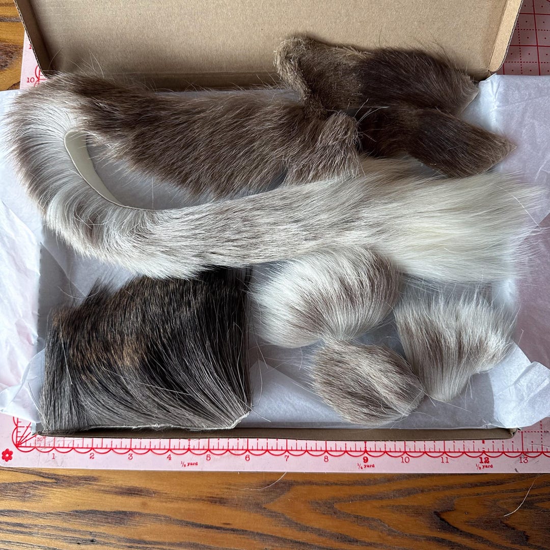Caribou, Reindeer and Moose Hair Sample Box, for Tufting and Crafting ...
