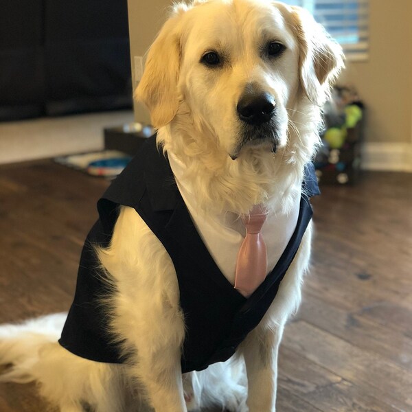 Dog Tuxedo - Etsy