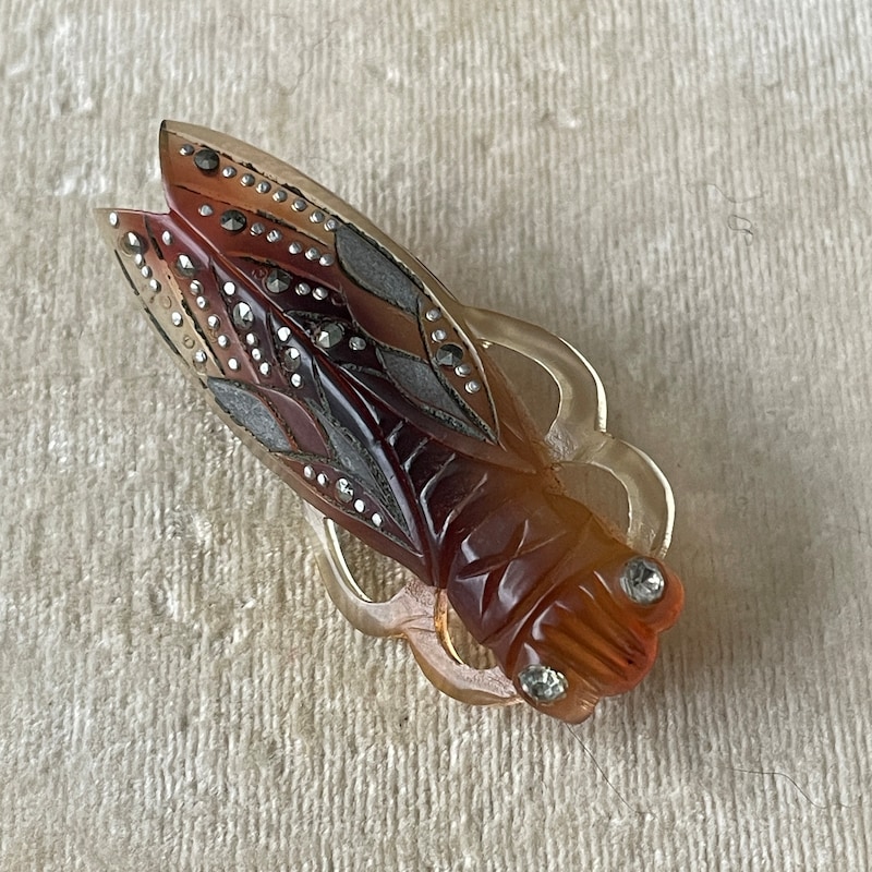 Cicada Brooch - Etsy