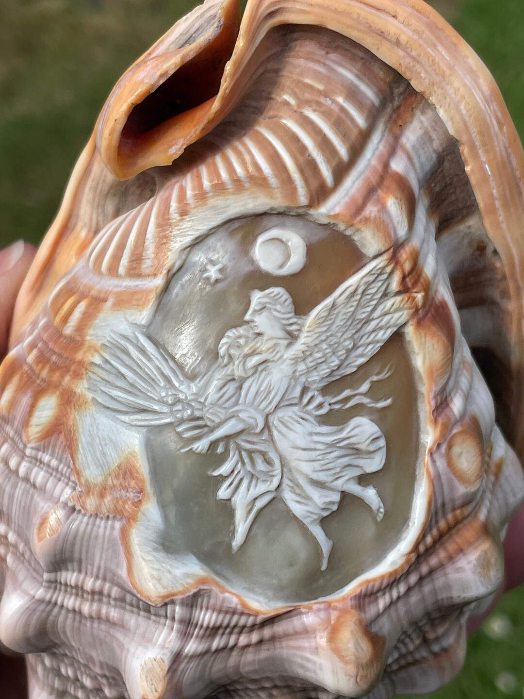 Vintage Carved Cameo Conch Shell Magical Fairy Theme Moon and Stars - Etsy