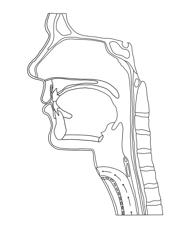 Laryngectomy Print Outline - Etsy