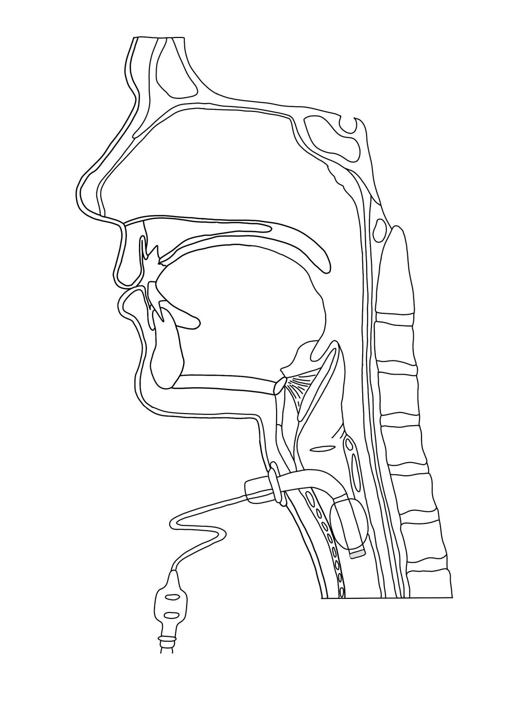 Tracheostomy Colouring Page - Etsy