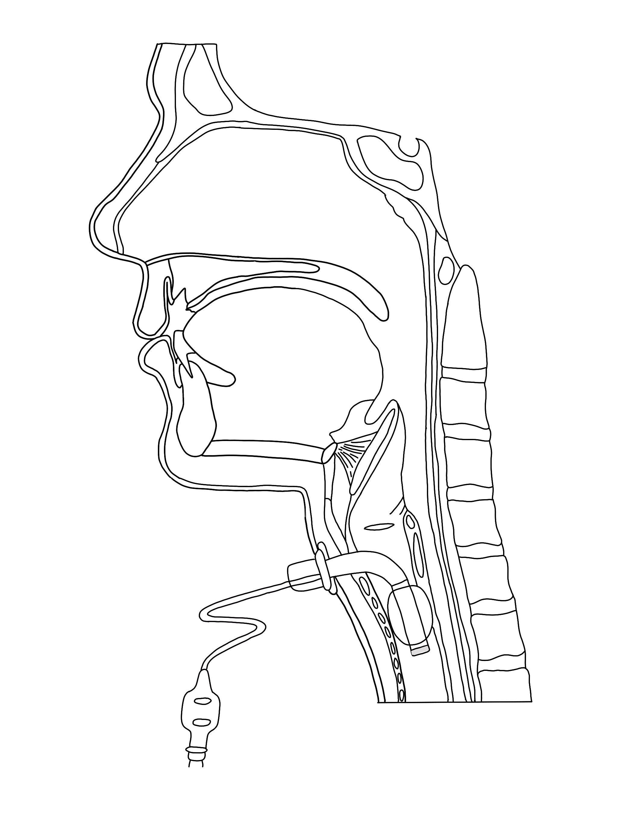 Tracheostomy Colouring Page - Etsy