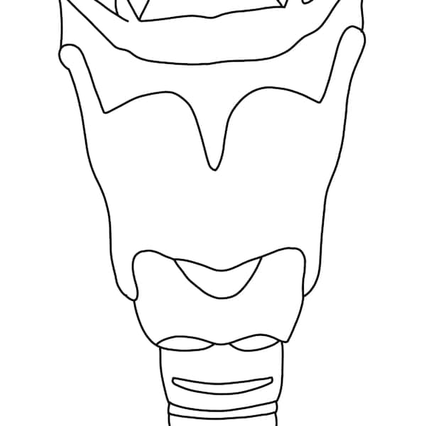 Larynx - Etsy