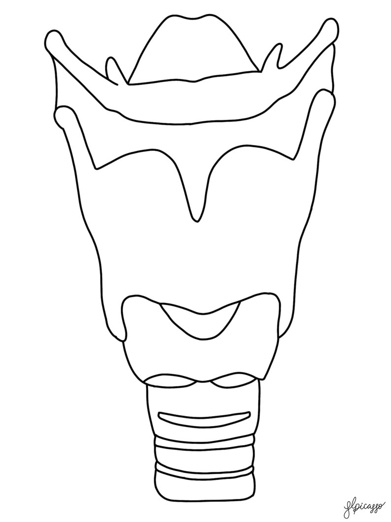 Larynx Colouring Page - Etsy Ireland