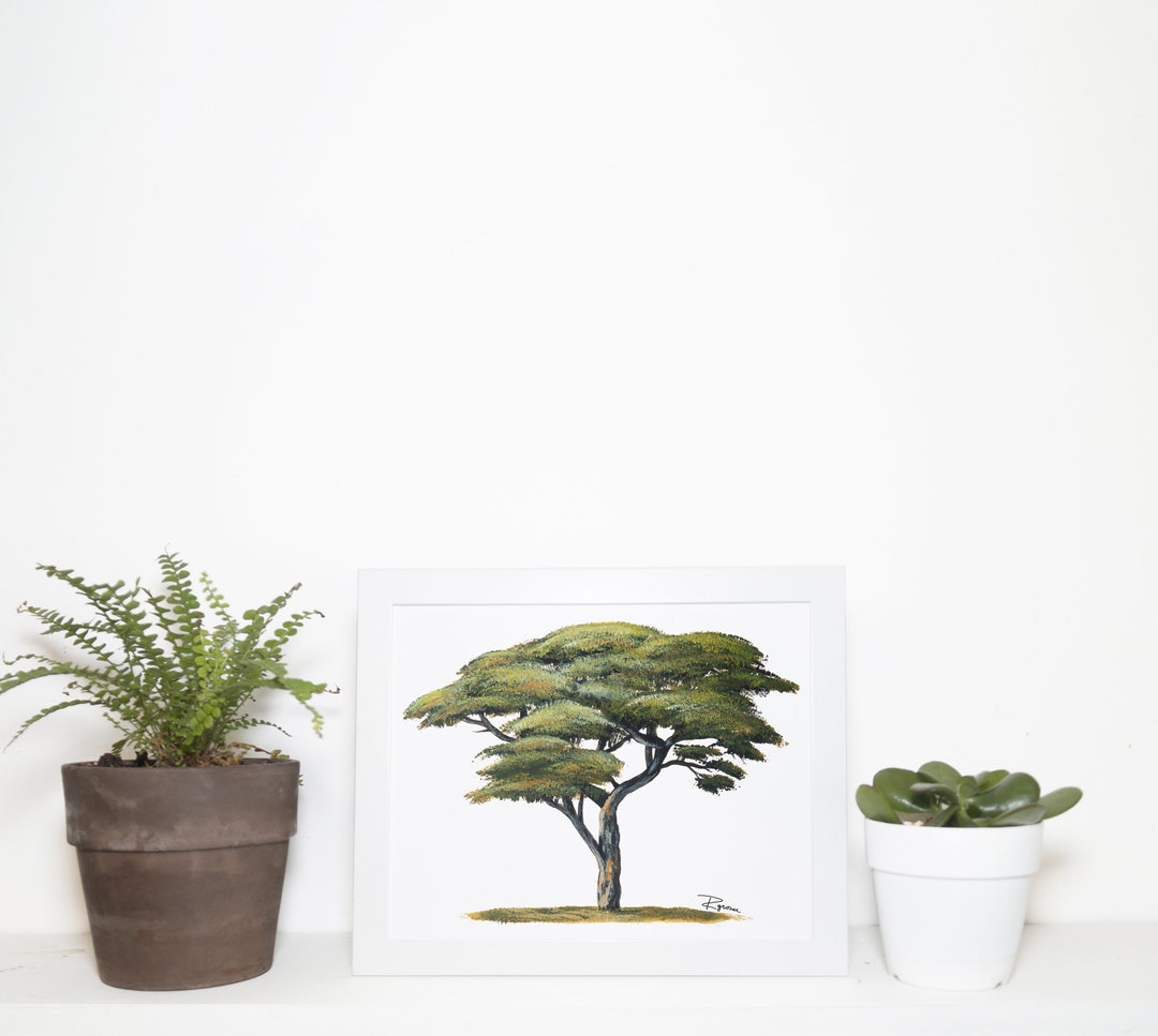 Hand Painted Acacia Tree Print on Giclee - Etsy