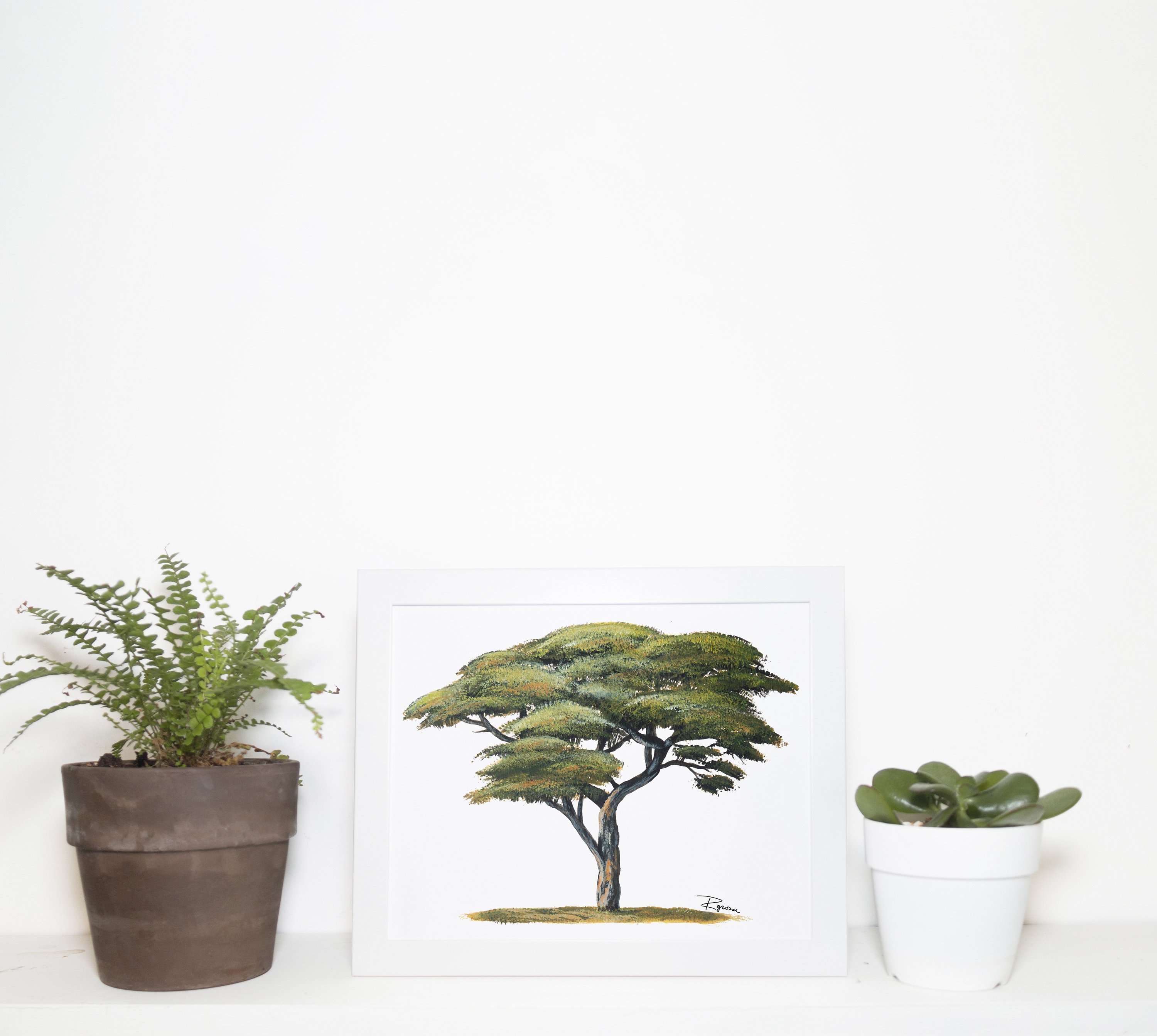 Hand Painted Acacia Tree Print on Giclee - Etsy