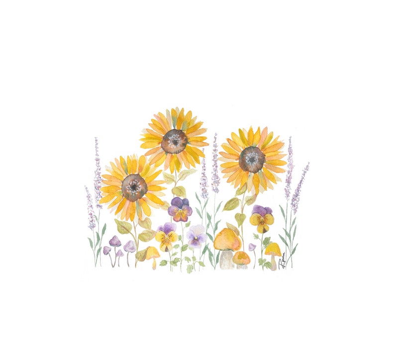 Hand Painted Watercolor Sunflower & Lavender Print on Giclee - Etsy