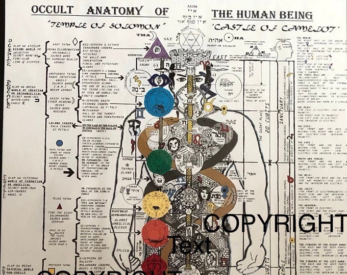 Occult Anatomy 2020 Large Occult Poster 24x36, Occult Illustration ...