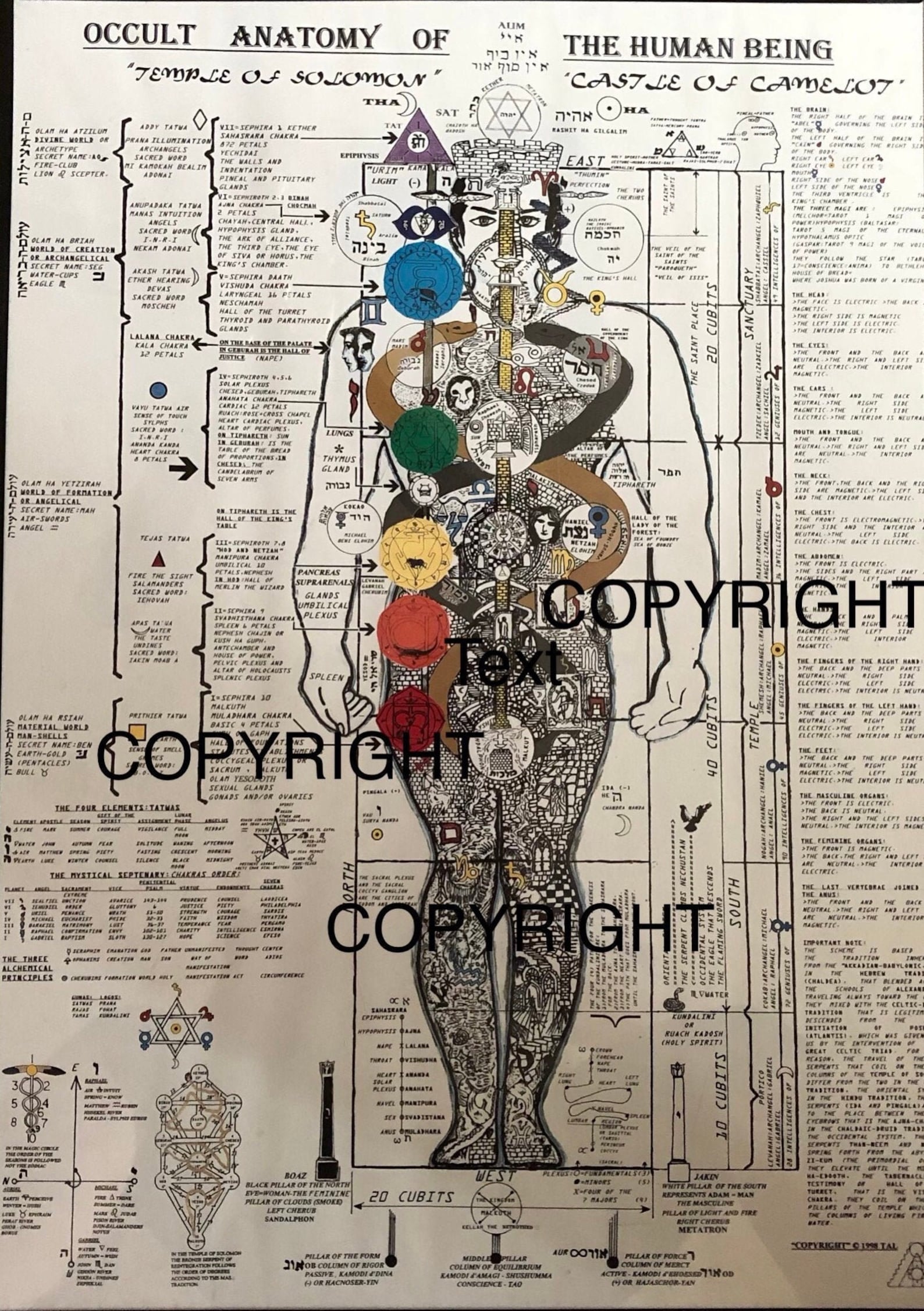 Occult Anatomy of the Human Being - Etsy