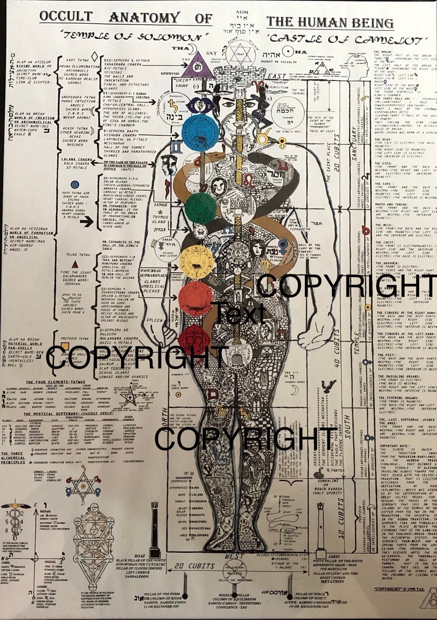 Occult Anatomy of the Human Being - Etsy