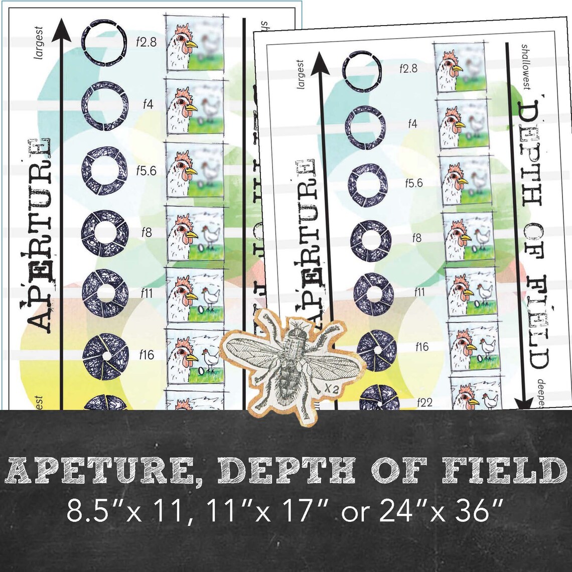 Introduction to Digital Photography, DSLR: 7 Printable Posters or ...