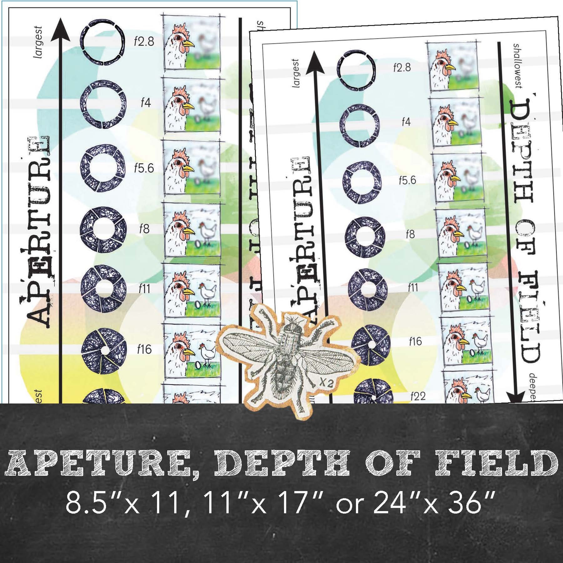 Introduction to Digital Photography, DSLR: 7 Printable Posters or ...