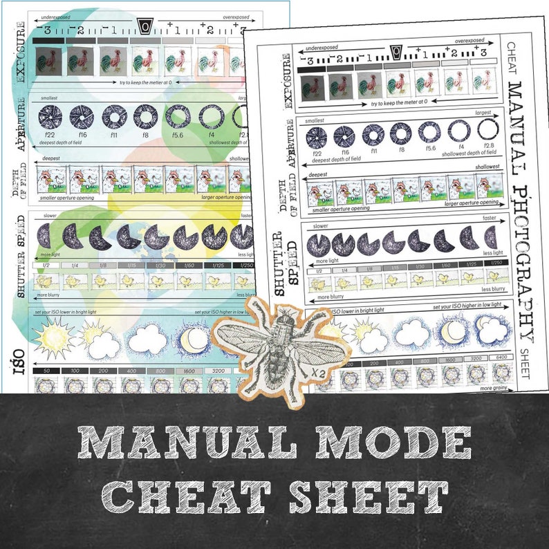 Introduction to Digital Photography, DSLR: 7 Printable Posters or ...
