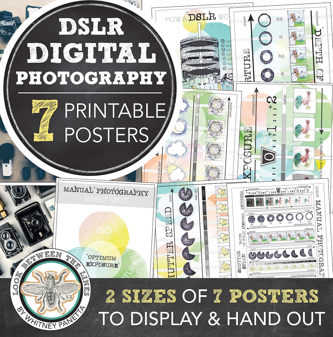 Introduction to Digital Photography, DSLR: 7 Printable Posters or ...