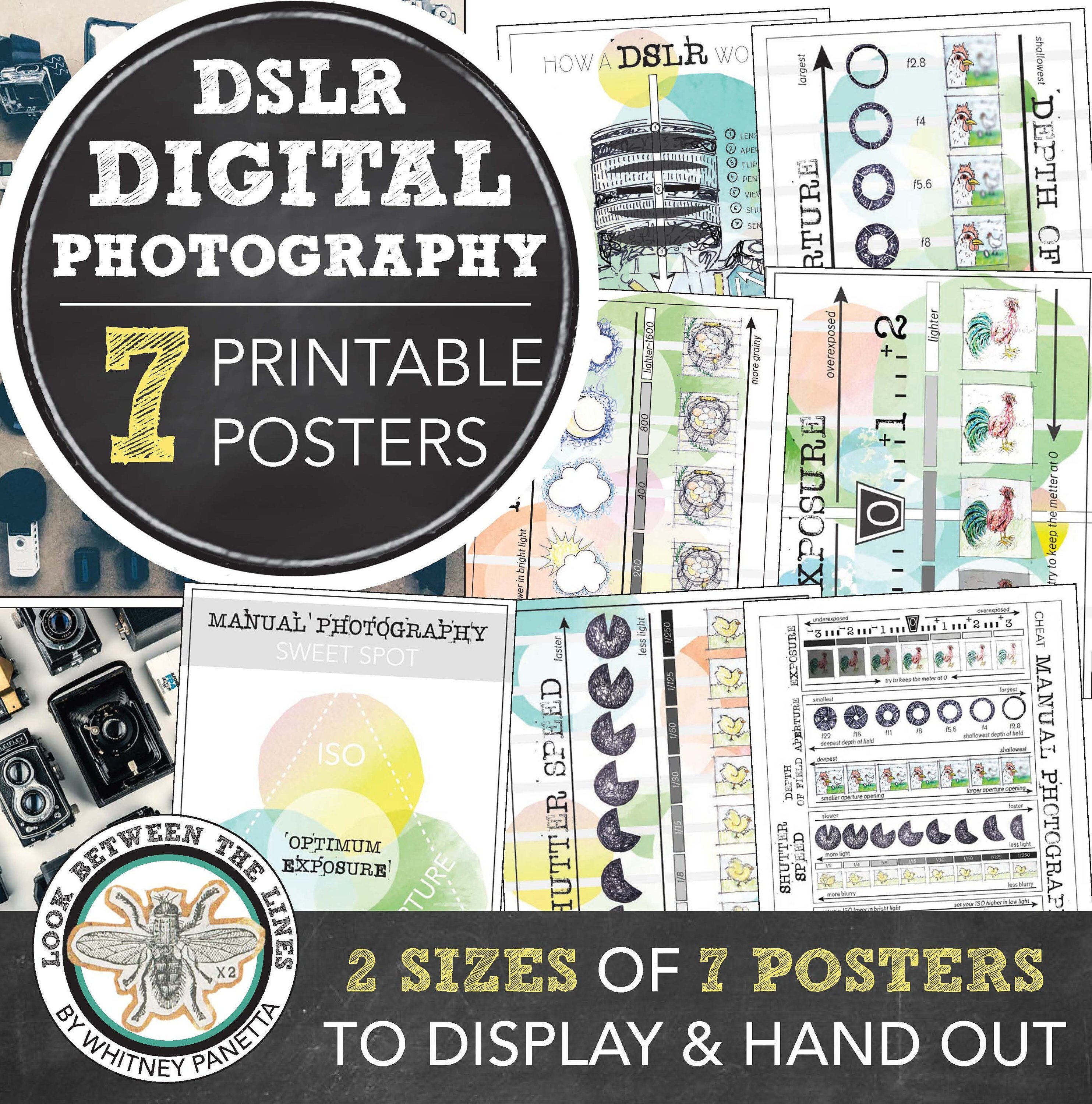 Introduction to Digital Photography, DSLR: 7 Printable Posters or ...