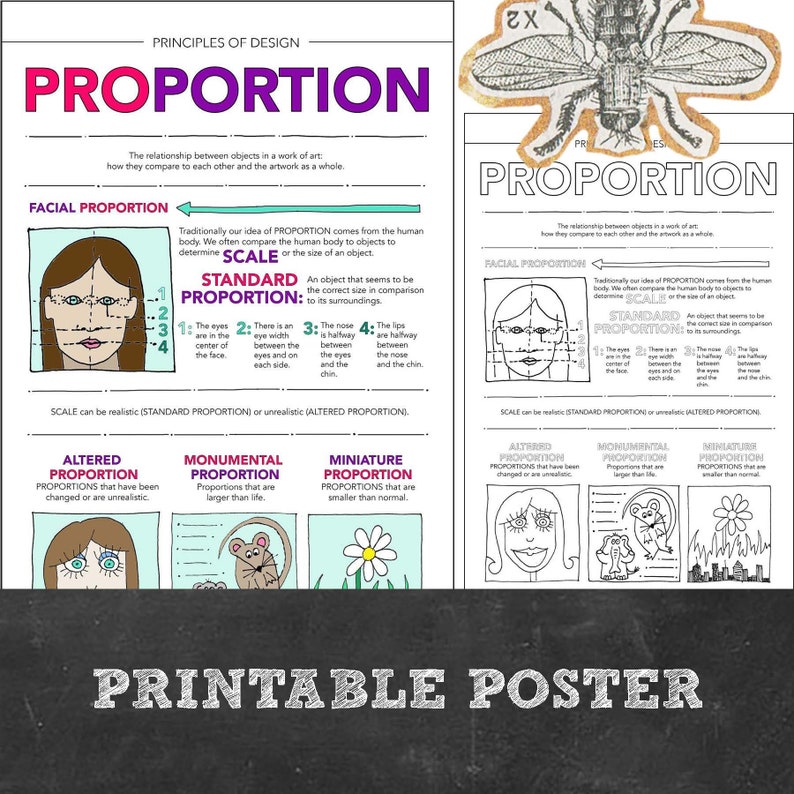 Principles of Design Worksheets, Activities, Posters, Using the ...