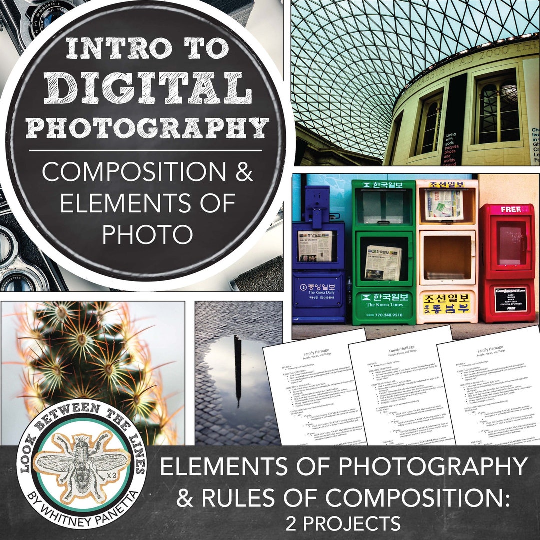Intro to Digital Photography: Elements of Art, Composition Photo Lesson ...