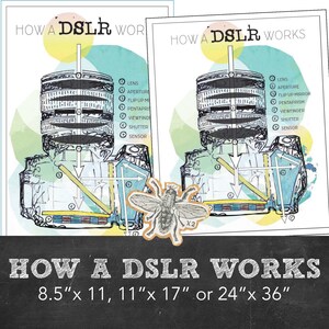 Introduction to Digital Photography, DSLR: 7 Printable Posters or ...