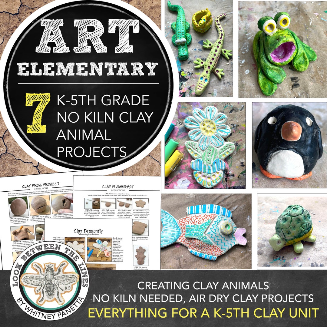 Elementary No Kiln Clay Unit: Animal Clay Air Dry Project, Activities ...