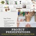 Elementary No Kiln Clay Unit: Animal Clay Air Dry Project, Activities ...