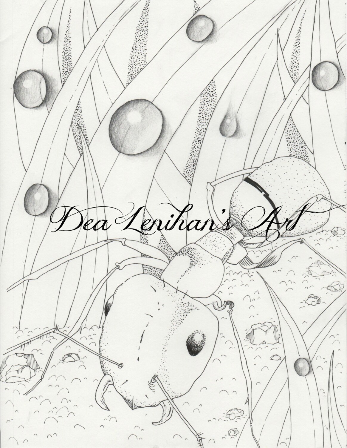 COLORING DREAMS DIGITAL and Downloadable Adult or - Etsy