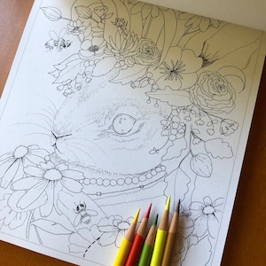 EVERYDAY MAGIC Artist's Edition Coloring Book--free Shipping - Etsy