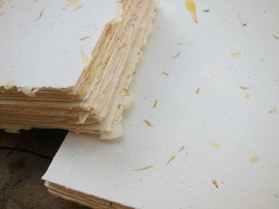 Calendula Flower Petal Paper Sheets / Handmade Paper for Craft ...