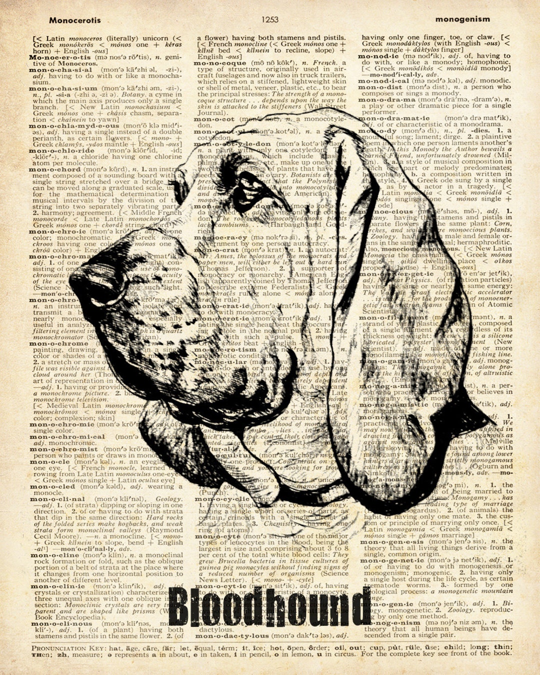 Bloodhound on the World Book Dictionary Page. Decoration Print 8"x10 ...
