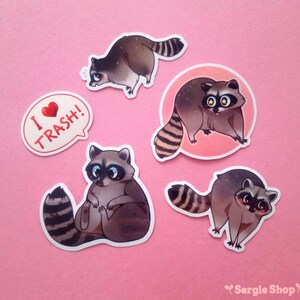 Cute Raccoons Sticker Set - Etsy