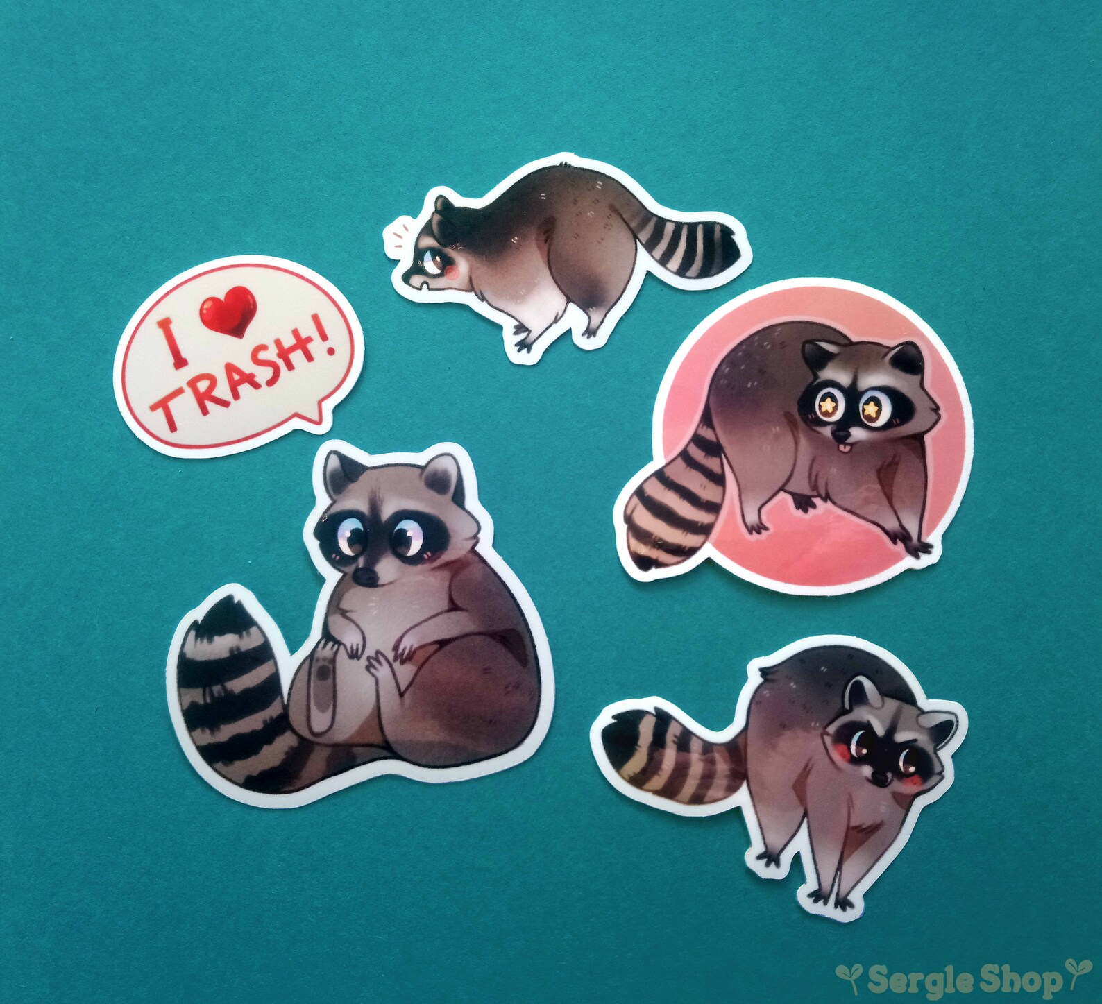 Cute Raccoons Sticker Set | Etsy