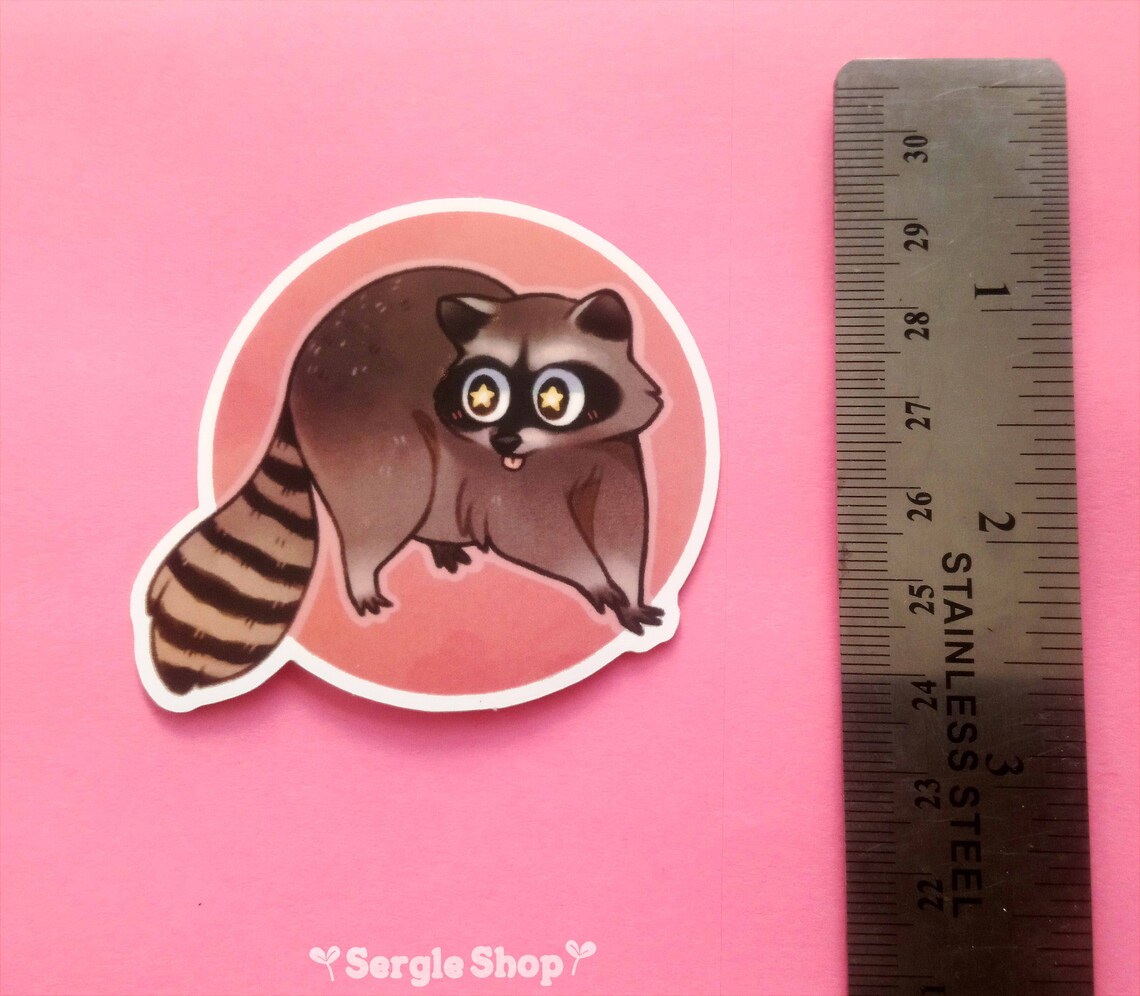 Cute Raccoons Sticker Set | Etsy