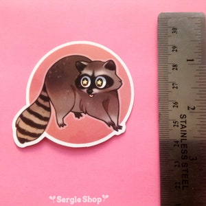 Cute Raccoons Sticker Set - Etsy