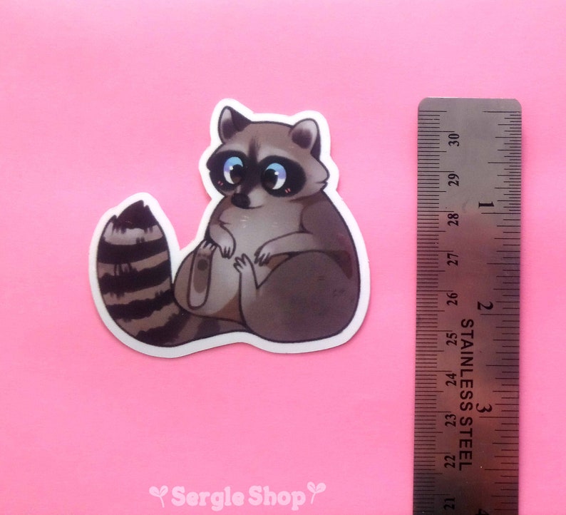 Cute Raccoons Sticker Set - Etsy