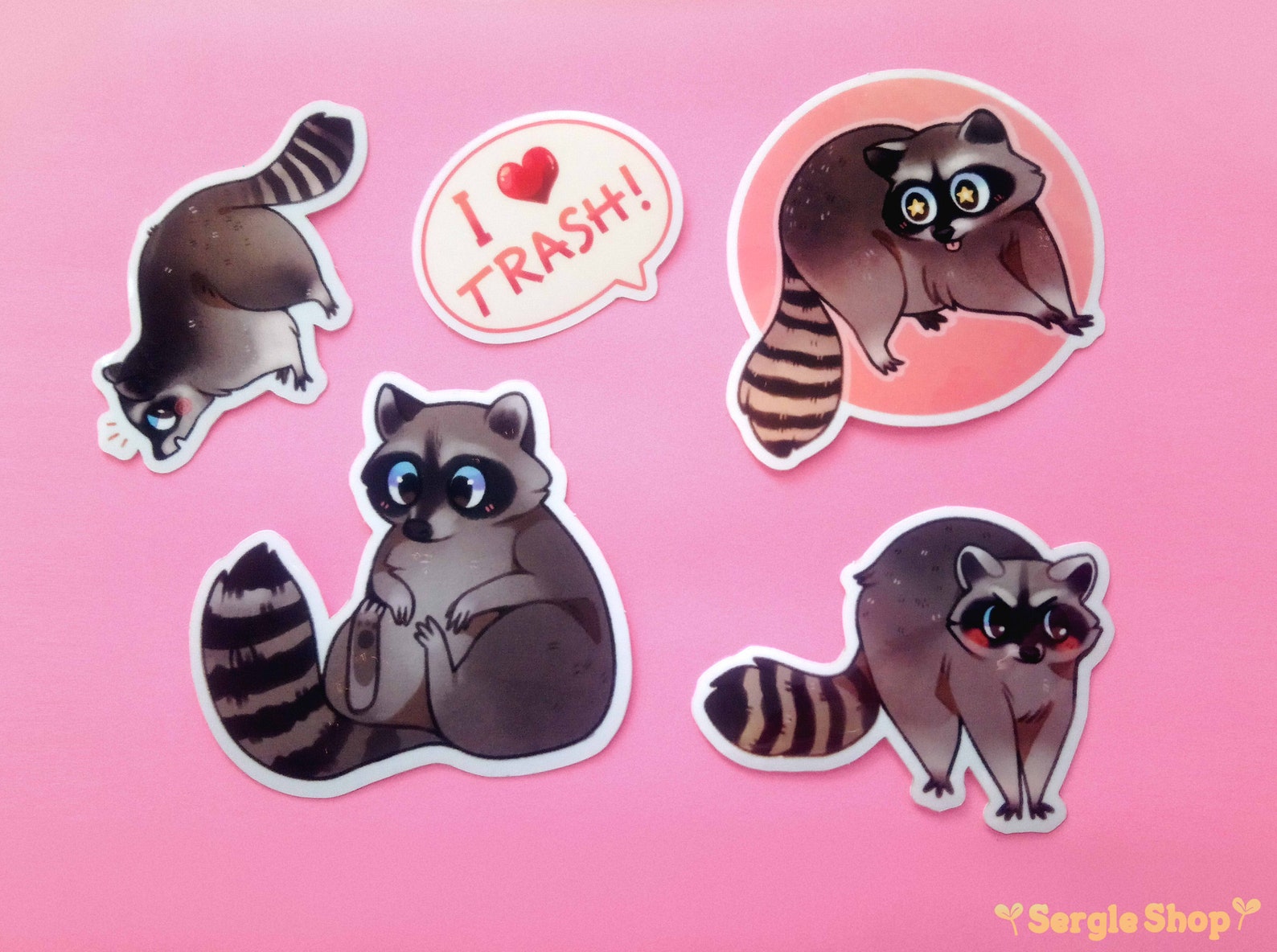 Cute Raccoons Sticker Set - Etsy