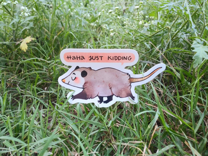 Possum Sticker Set - Etsy