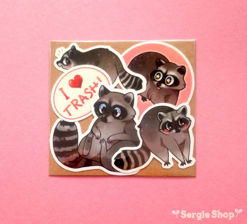 Cute Raccoons Sticker Set - Etsy