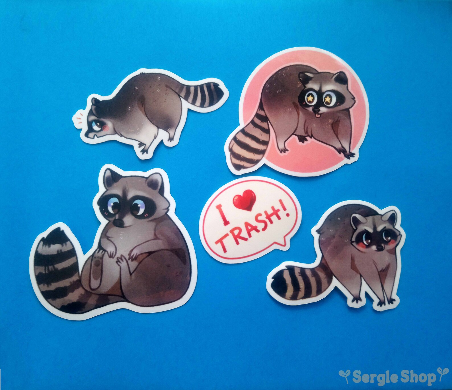 Cute Raccoons Sticker Set | Etsy