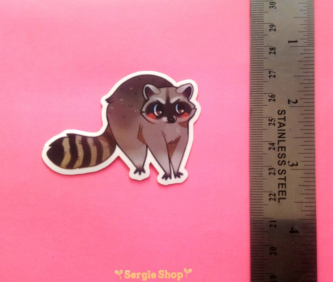 Cute Raccoons Sticker Set | Etsy
